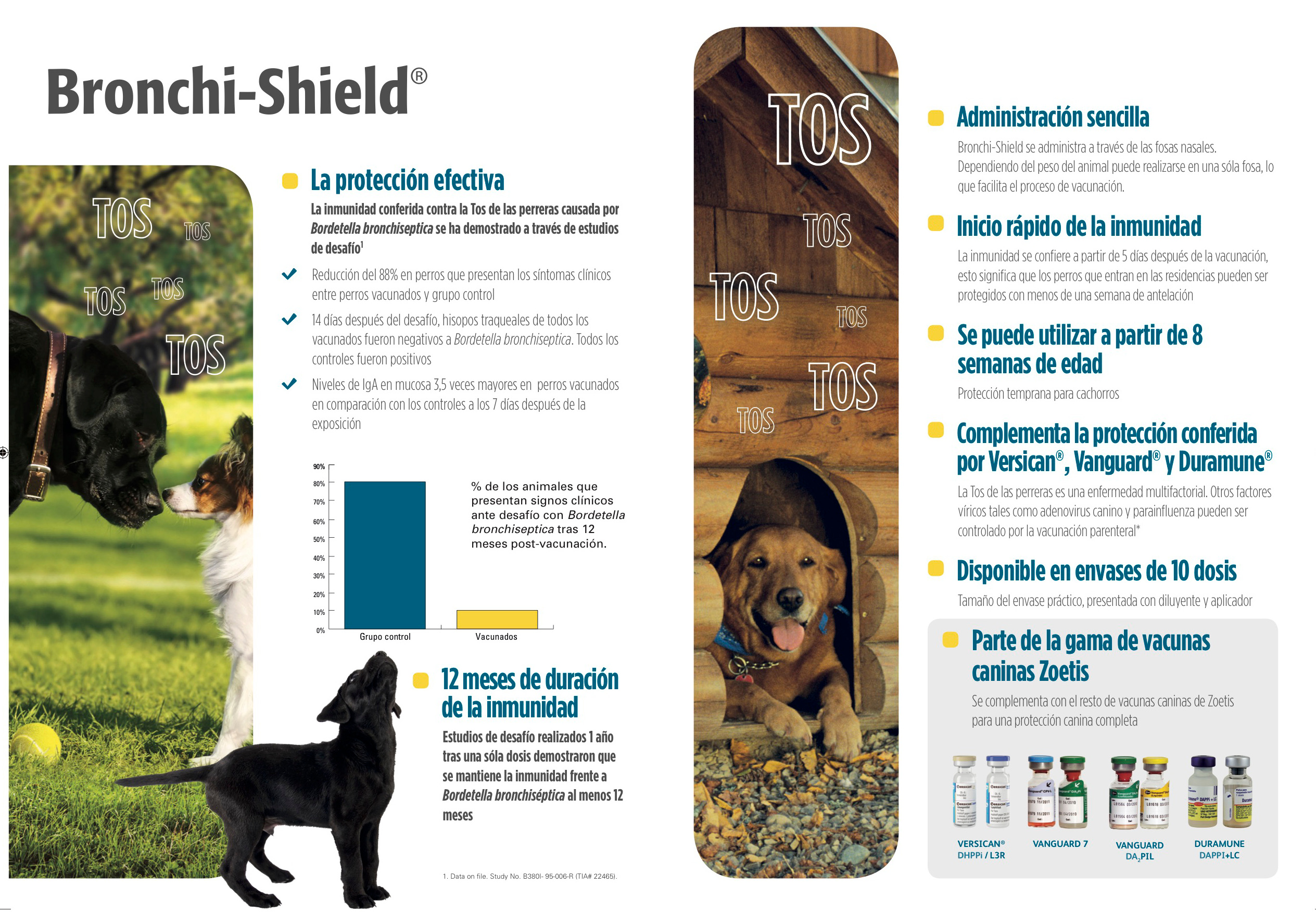 La Tos de las Perreras, los beneficios de la vacunación