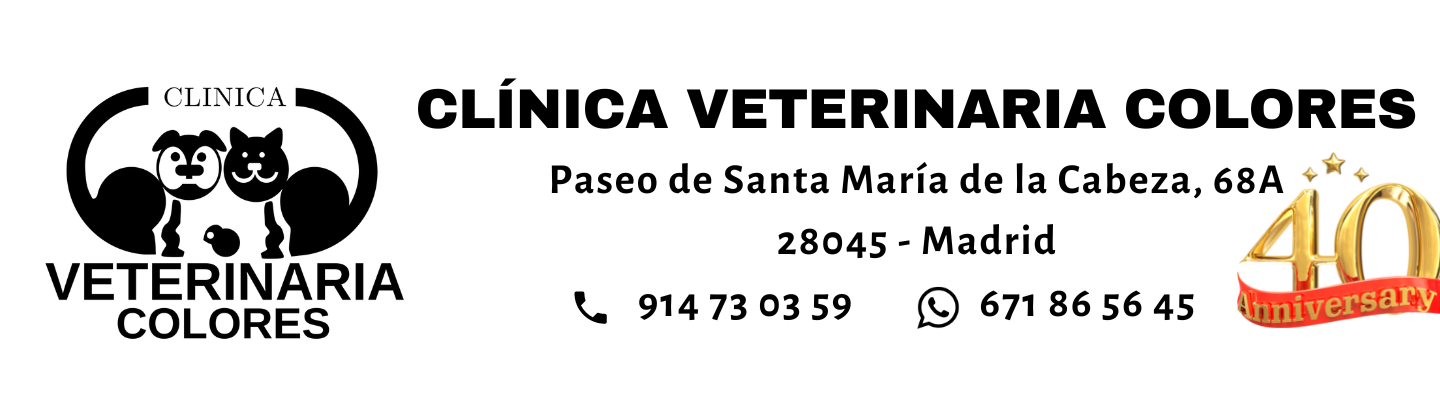 Infecciones de piel de los perros – Pioderma Canina
